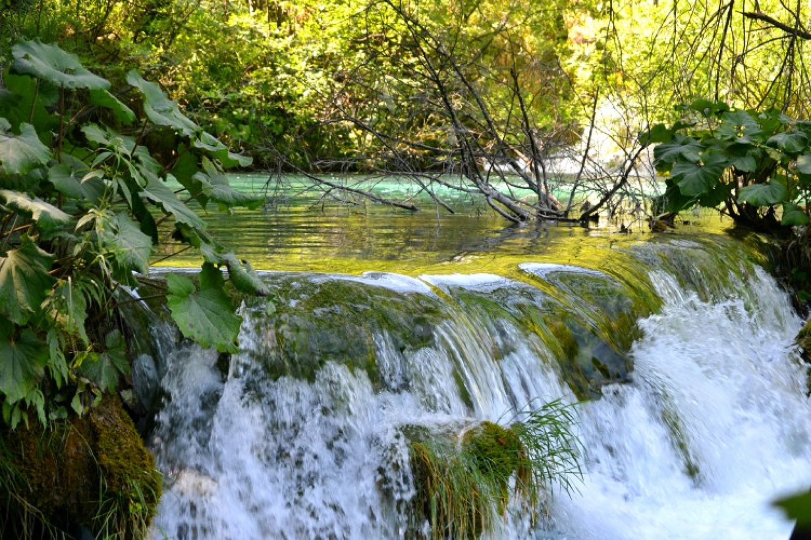 Οι λίμνες Πλίτβιτσε στον Εθνικό Δρυμό της Κροατίας